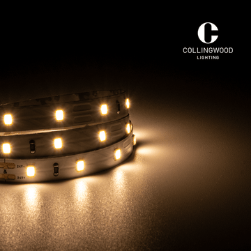 Collingwood Lights |Collingwood Lighting | Prisma Lighting